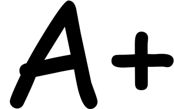 A+ Teacher Grading Stamp | HC Brands