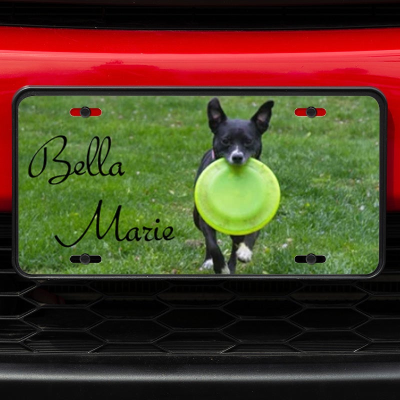 Custom License Plate | HC Brands