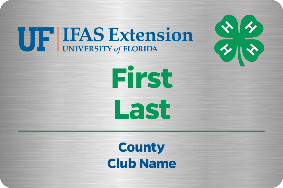 UF/IFAS 4-H Volunteer 2x3" Three Line Nametag